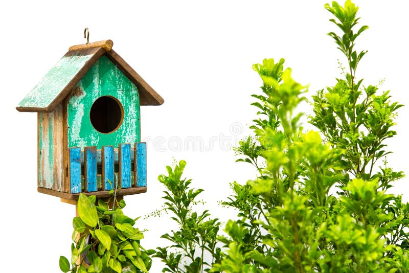 Tree bird house stock photo. Image of beautiful, decoration - 124835044