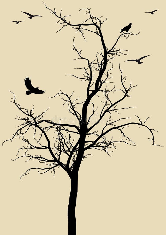 Tree silhouette stock illustration. Illustration of isolated - 22604638