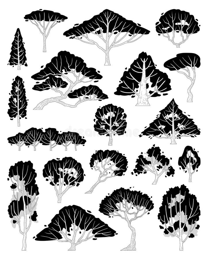 Hand Drawn Vector Set of Side View Tree. Stock Vector - Illustration of ...