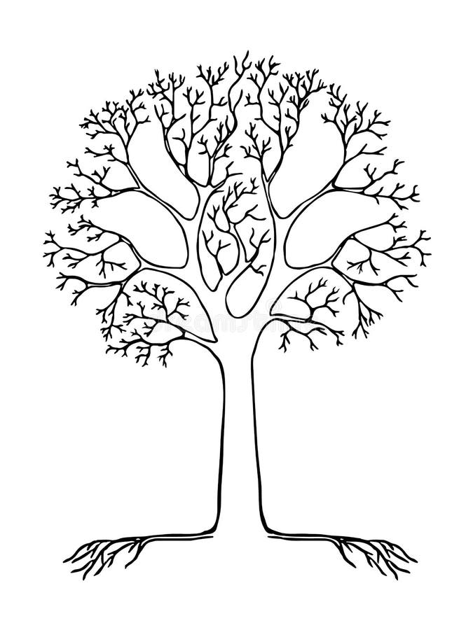 Tree. Black Line Vector. Empty Places To Enter Words Stock Illustration ...