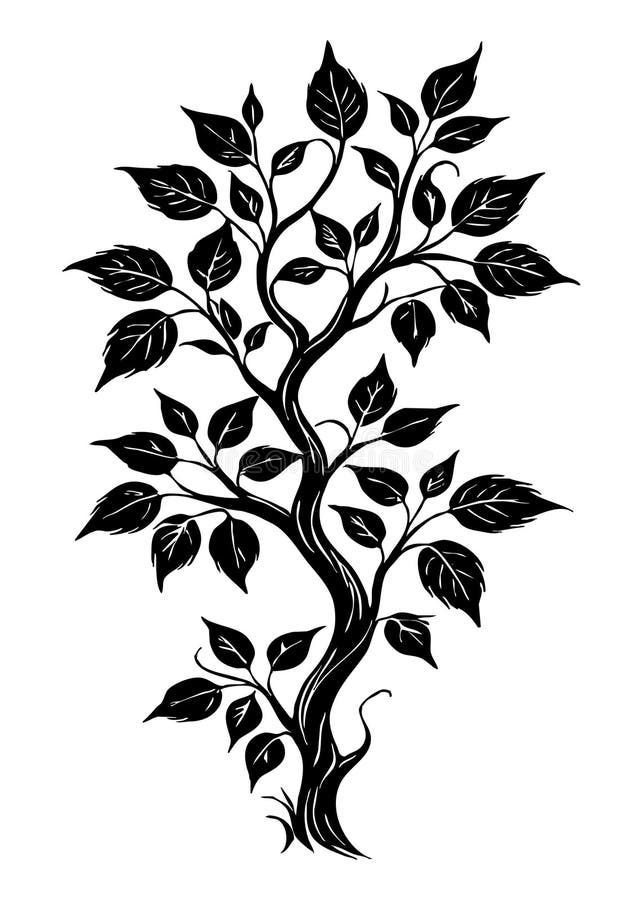 Tree . Black and White Botanical Pattern. for Use in Graphics ...