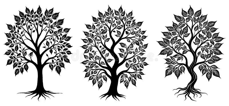 Tree . Black and White Botanical Pattern. for Use in Graphics ...