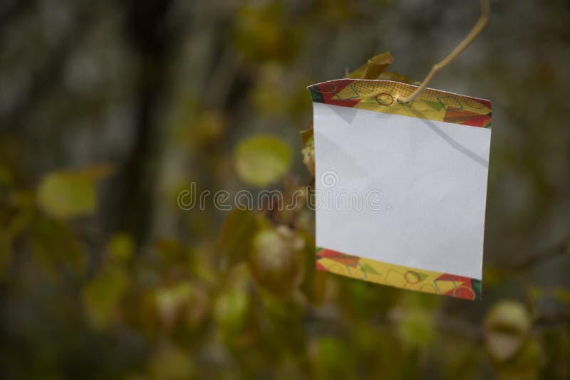 Tree blank stock photo. Image of empty, space, rustic - 91872406