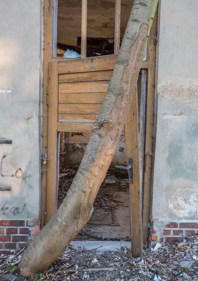 New Tree blocks front door stock photo. Image of retro - 194602212