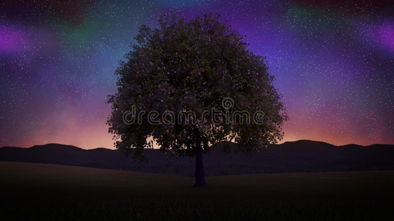 Tree Blowing at Night. Seamless Loop. 4K Stock Footage - Video of park ...