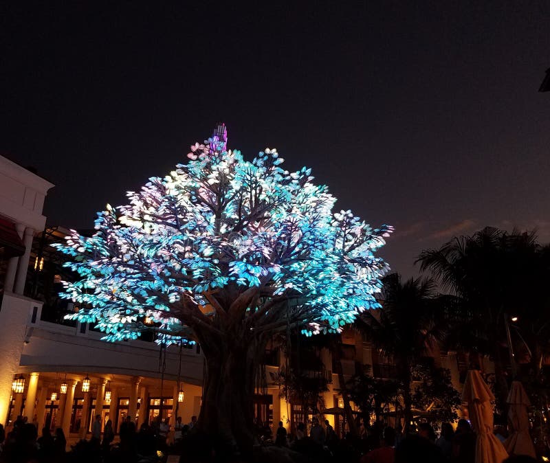 Tree with Blue Leaves Lit Up at Night Editorial Image - Image of light ...