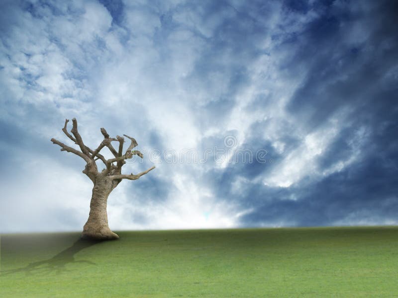 Small tree & blue sky stock image. Image of development - 1143485