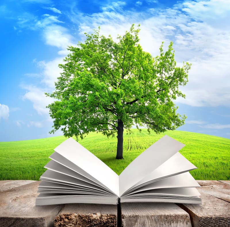 Tree and book stock photo. Image of page, grow, diary - 44891638