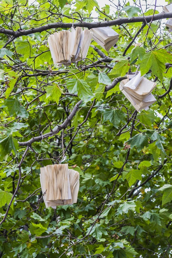 Tree with books stock photo. Image of book, green, plants - 57939024