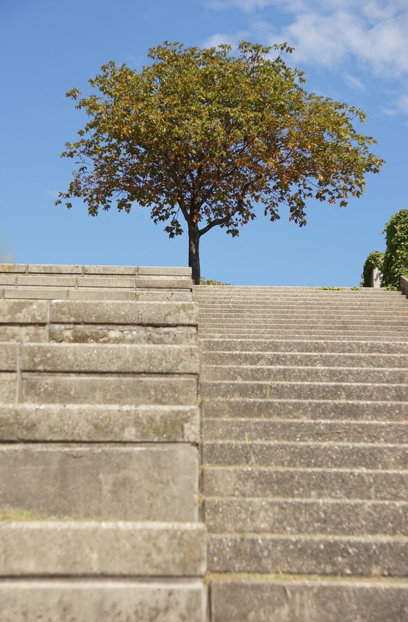 Path Divides Photos - Free & Royalty-Free Stock Photos from Dreamstime