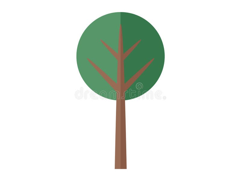 Tree. Botany is Scientific Study Plants, Including Trees, Their ...