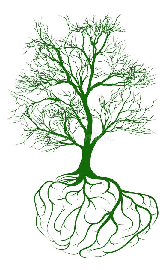 Tree With Roots Clip Art 247 Tree Roots Clipart High Res Illustrations