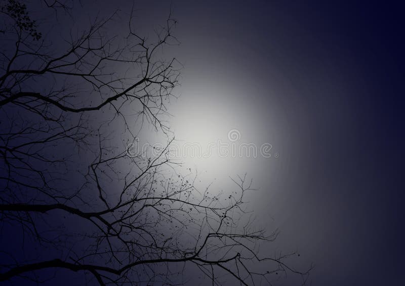 Tree Branch Against Night Sky Stock Photo - Image of haunted, horror ...