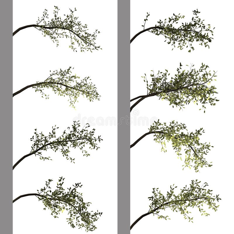 Tree Branch Background. 3D Illustration Stock Illustration ...