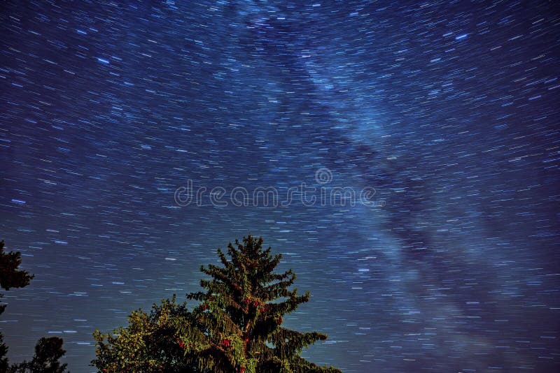 Tree Branch and Billion Star and Constellation on Sky Stock Image ...