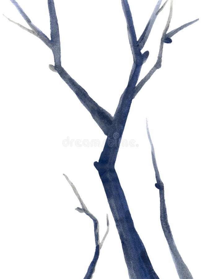 A Tree Branch. a Blue, Gnarled Branch, without Leaves Stock ...