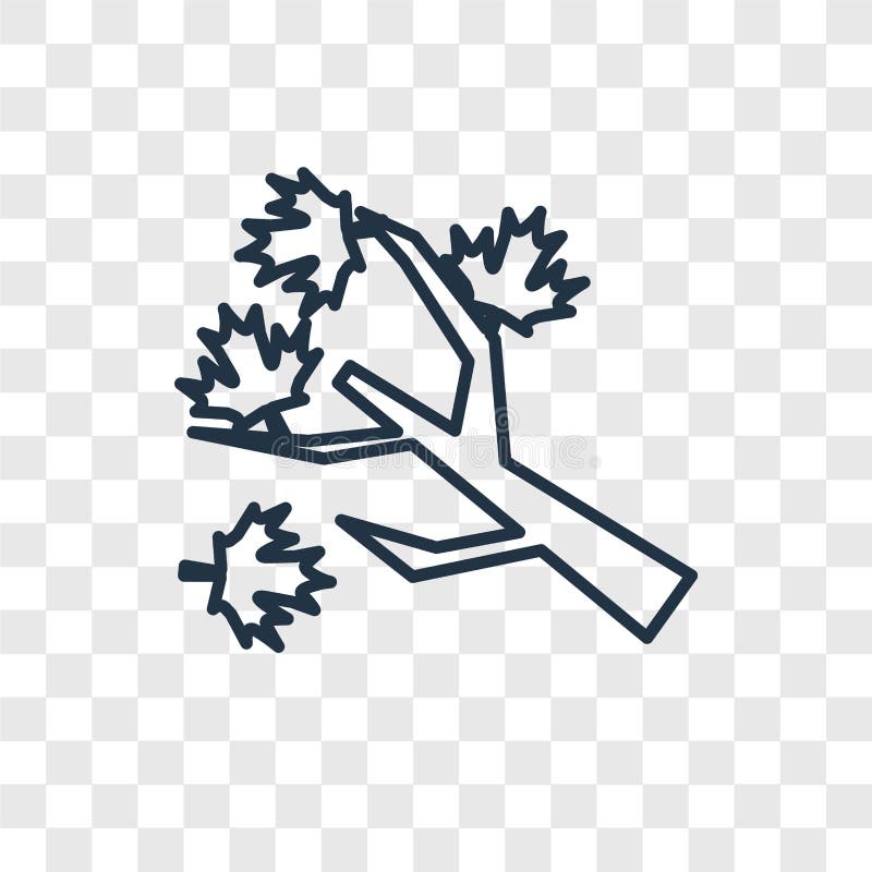 Tree Branch Icon Vector Isolated on White Background, Logo Concept of ...