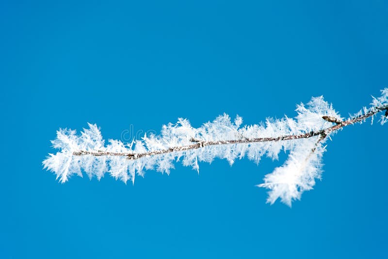 Rime frost stock photo. Image of white, winter, rime - 30303842