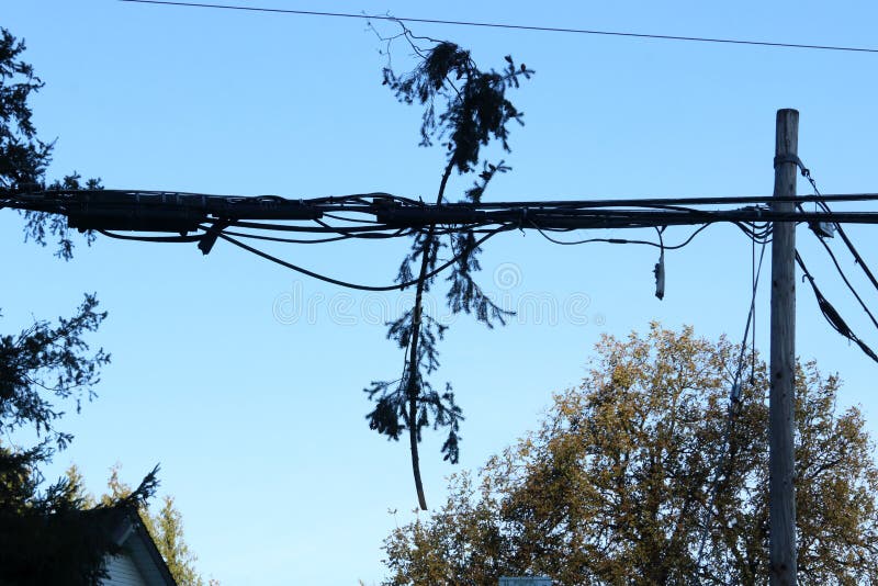 Tree Branch on Electric Wires after Wind Storm Stock Image - Image of ...