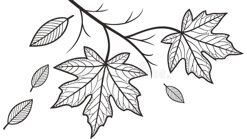 Falling Maple Tree Leaves Stock Illustrations – 16,861 Falling Maple ...