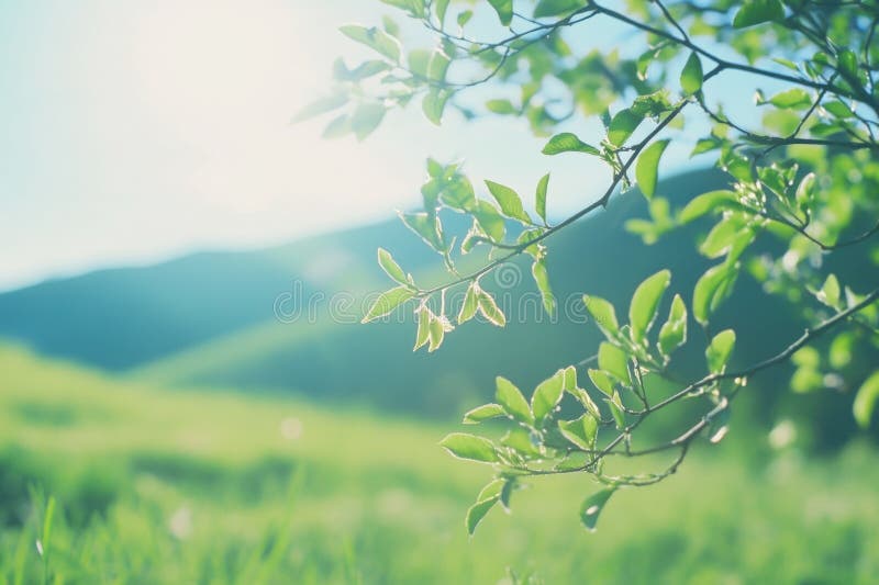 Tree Branch in Grass Field stock photo. Image of environment - 379791272