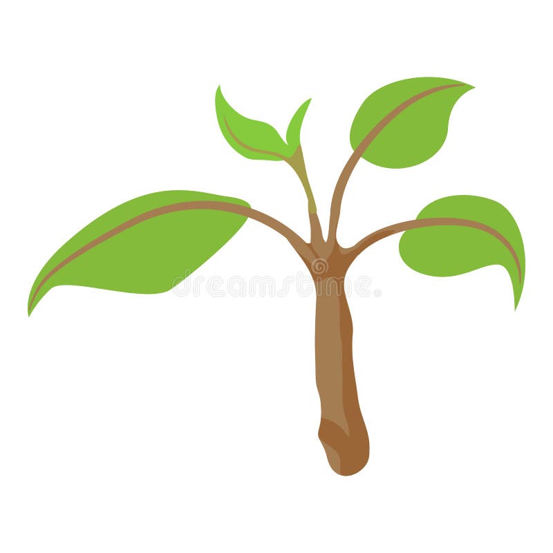 Tree Branch Icon Isometric Vector. Small Tree Branch with Green Leaf ...
