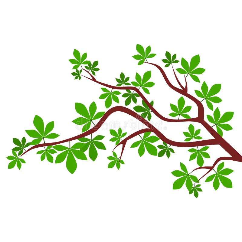 Tree branch - Illustration stock illustration. Illustration of growth ...