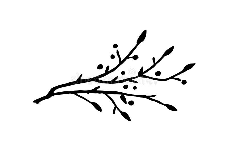 Tree Branch with Leaves - Isolate on a White Background. Twig ... Tree Branch with Leaves - Isolate on a White Background. Twig ...