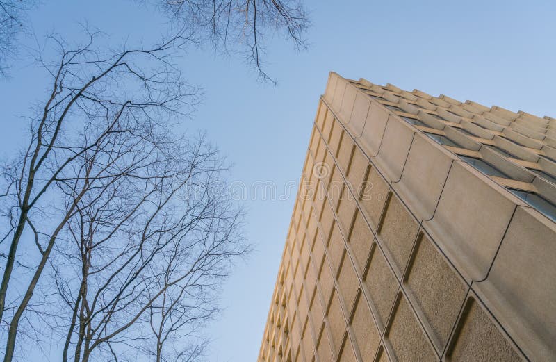 Tree Branch with Office Building. Stock Image - Image of architecture ...