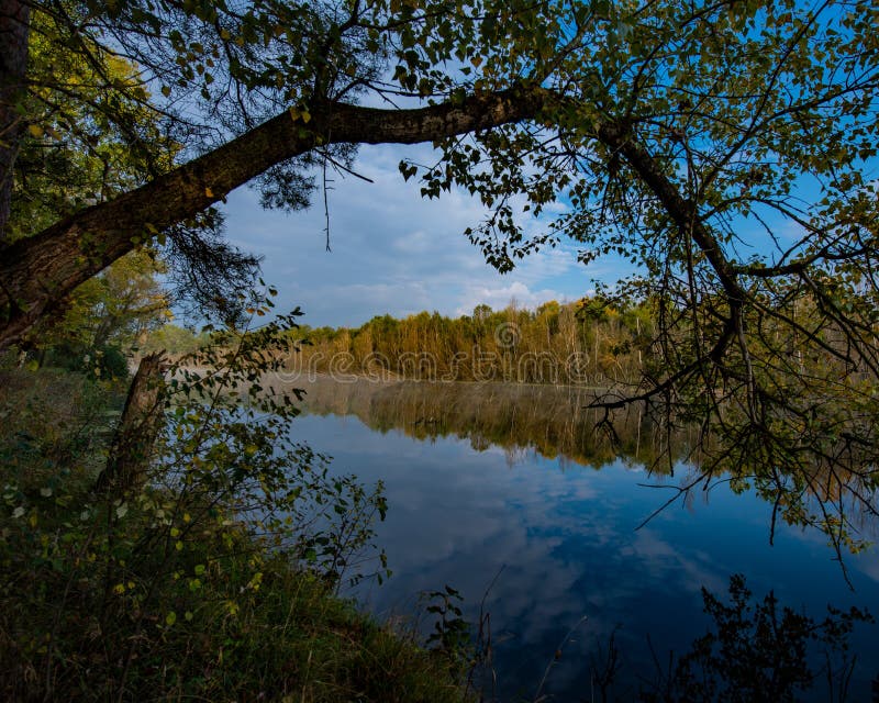 Tree Branch Over the Surface of the Water in the River Stock Photo ...