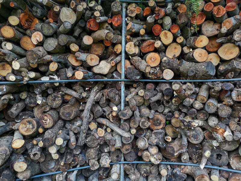 Tree Branch Overlay Abstract Background Stock Image - Image of pattern ...