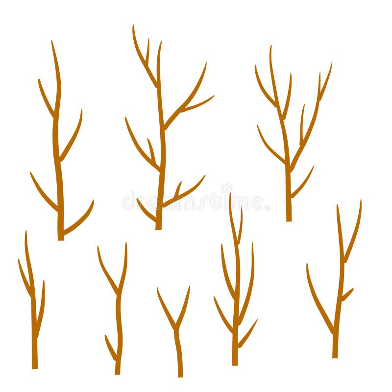 Tree Branch. Set of Different Brown Sticks Stock Vector - Illustration ...