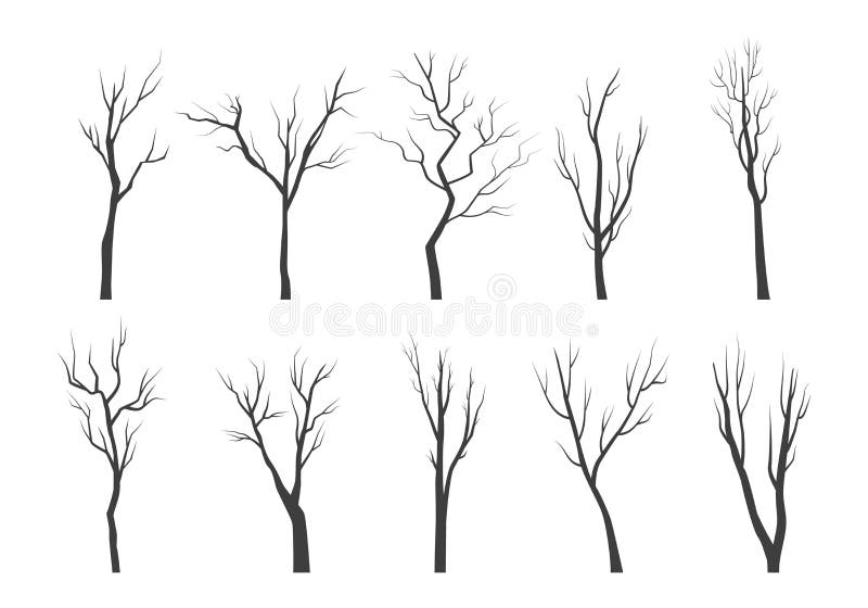 Tree No Leaves Stock Illustrations – 5,355 Tree No Leaves Stock ...