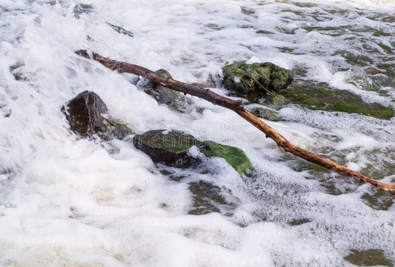 Tree Branch in Stream, Small Waterfall. Background, Nature. Stock Photo ...