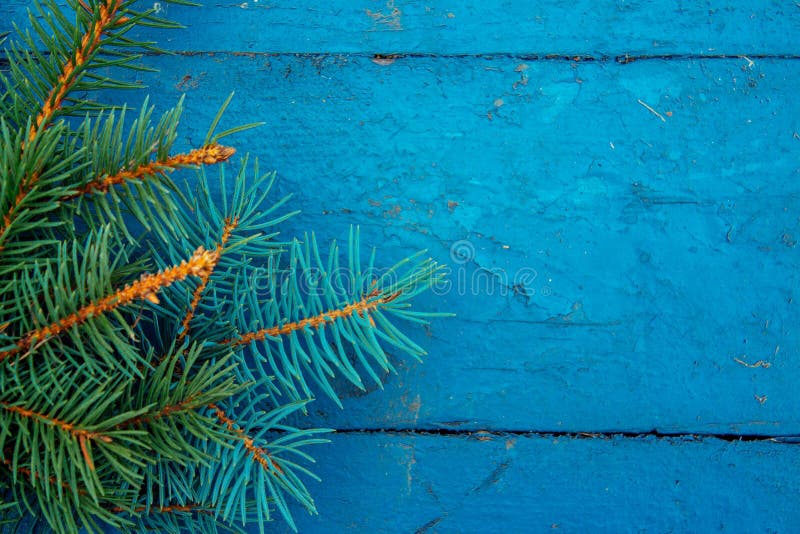 Tree Branch on a Wooden Surface Stock Image - Image of decorative ...