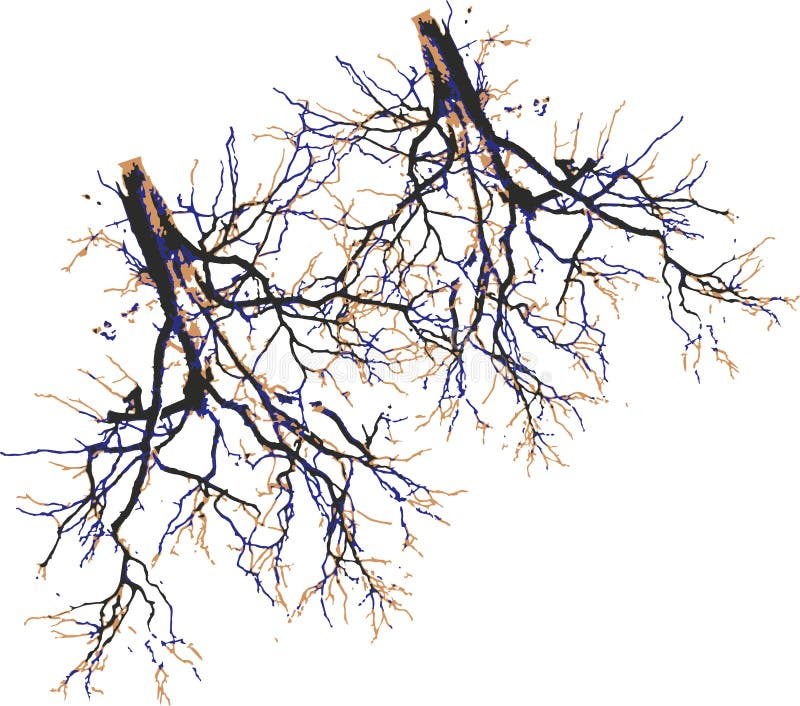 Branches Dead Texture Stock Illustrations – 256 Branches Dead Texture ...