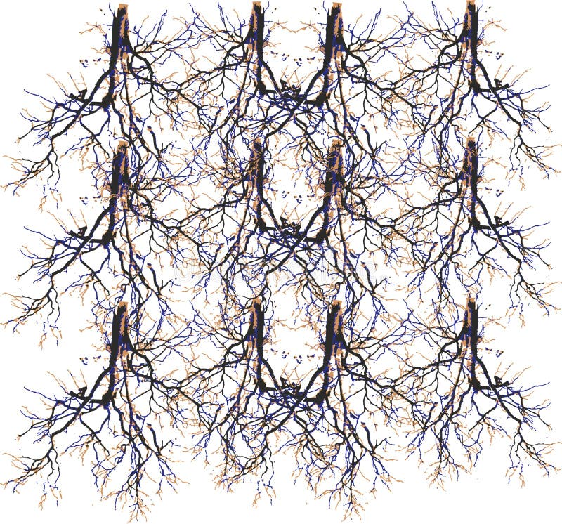 Branches Dead Texture Stock Illustrations – 256 Branches Dead Texture ...