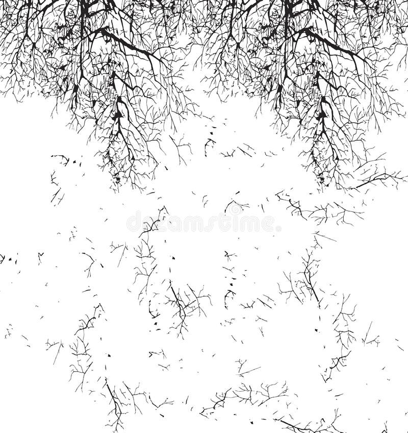 Branches Dead Texture Stock Illustrations – 256 Branches Dead Texture ...