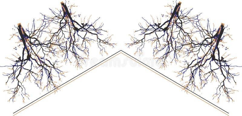 Branches Dead Texture Stock Illustrations – 256 Branches Dead Texture ...