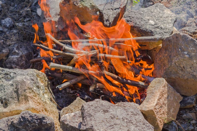 Tree branches burn in fire stock image. Image of glowing - 103019897