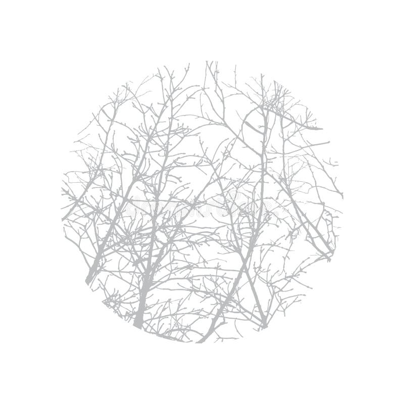 Tree Branches Card Badge Decoration in a Circle Stock Illustration ...