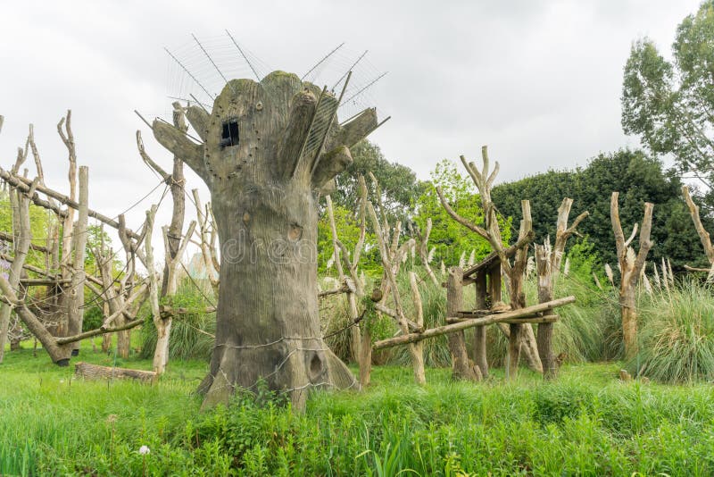 Tree Branches in a Compound Stock Image - Image of springtime, ryral ...