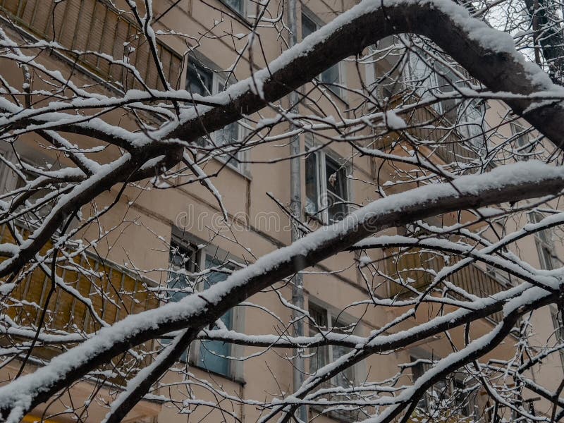 Tree Branches Covered with Snow on the Background of a Residential ...