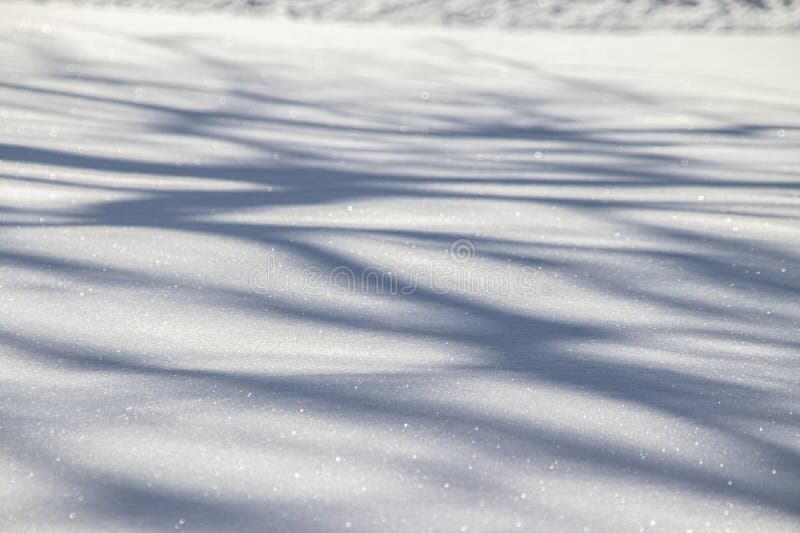 Shadows of Tree Branches on Sparkling White Snow Stock Image - Image of ...