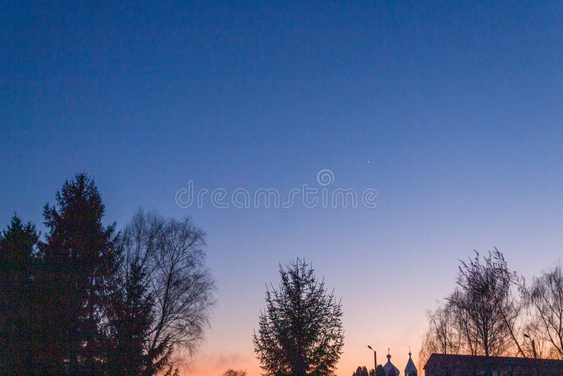 Silhouette of Trees Against the Backdrop of Sunset Stock Image - Image ...