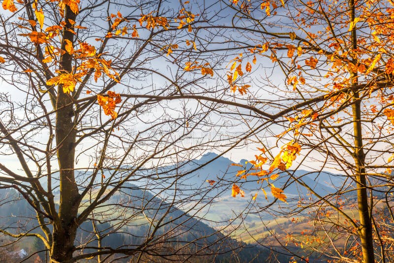Tree Branches in a Foreground of Autumn Landscape Stock Image - Image ...
