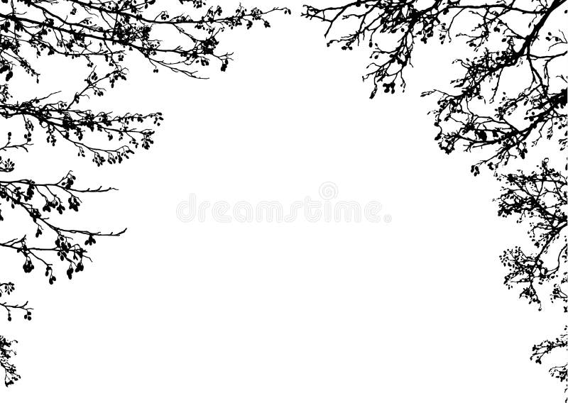 Tree branches frame stock vector. Illustration of garden - 58426277