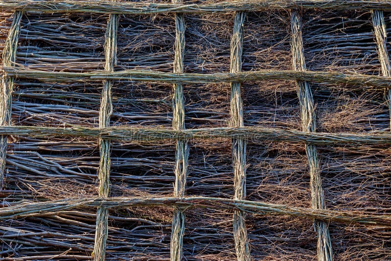 Tree Branches Grating Pattern Abstract Background Stock Photo - Image ...