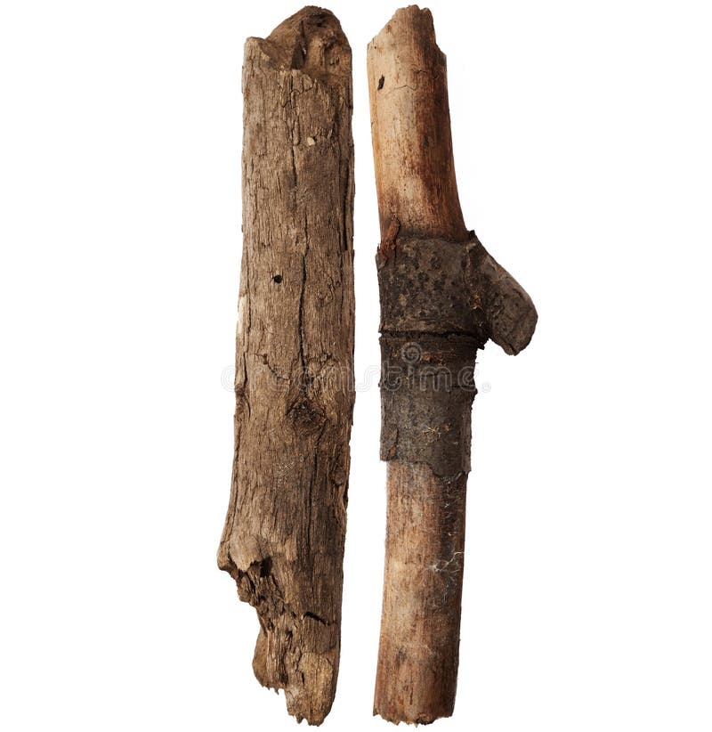 Tree branches stock photo. Image of stick, decor, white - 57208656