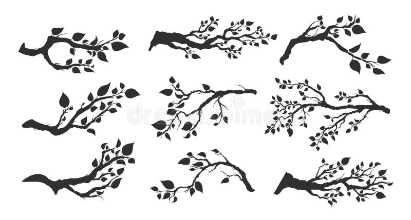 Tree Branches with Leaves Isolated Stock Illustration - Illustration of ...